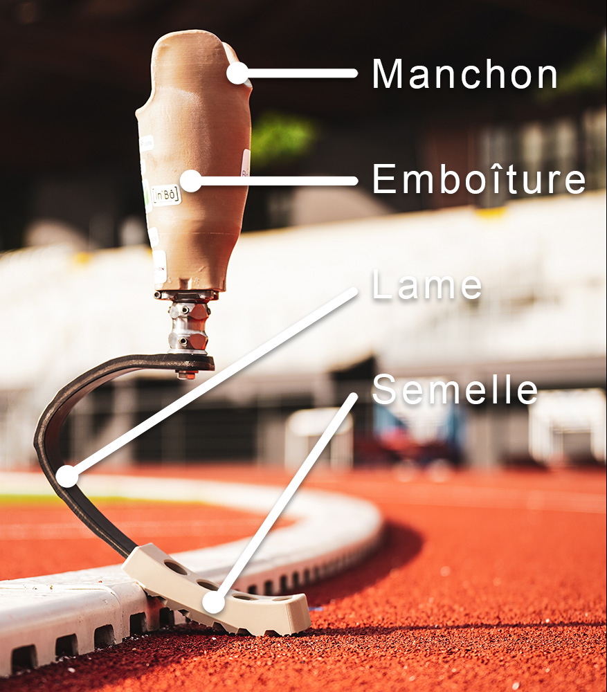 L’intégration de la fabrication additive dans le handisport par BioRun ...